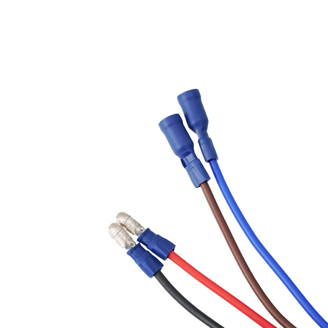 XERO V16 Digital Pump Controller | Pumps | XERO Water Fed — XERO Products